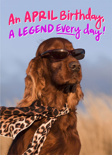 April Birthday Cards, Funny Cards - Free postage included
