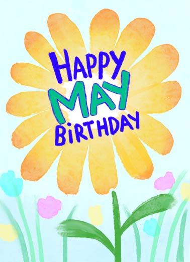 May Birthday Cards, Funny Cards - Free postage included
