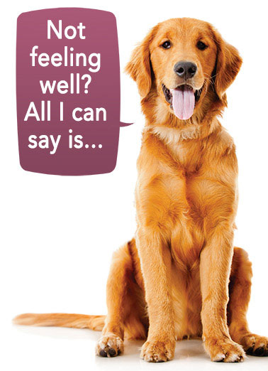 Funny Dogs Ecards | CardFool